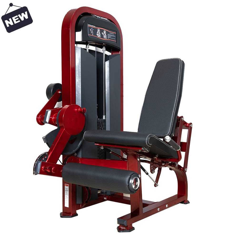 M2-1005 Leg Extension - Buy leg exercise machines, gym machines for ...